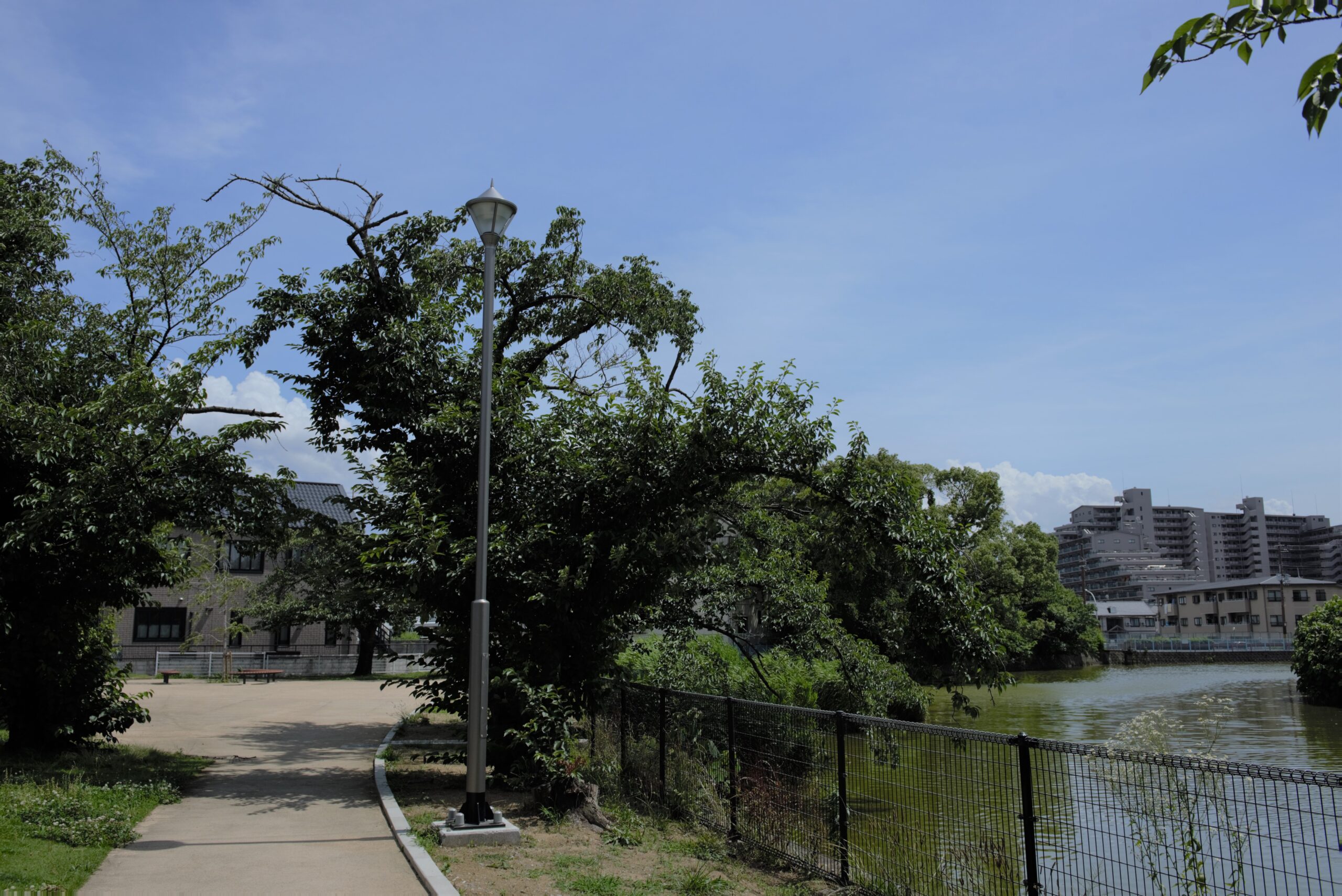 大阪府 堺市公園② ｜ 株式会社SDAT